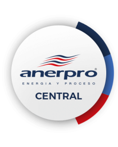 Organización y recursos humanos - Anerpro